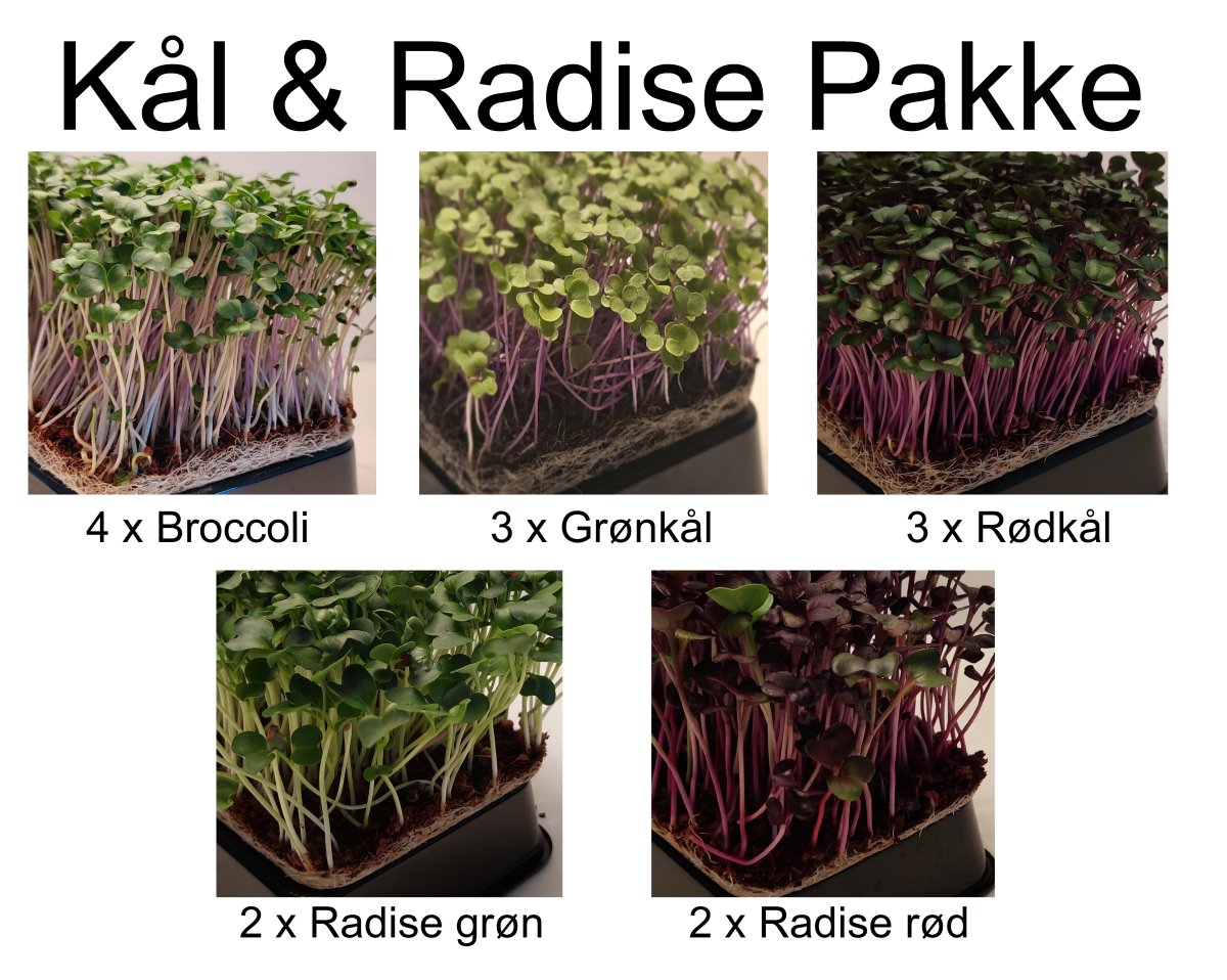 Kål & Radise pakke (14 stk) - Mikrogrønt pakker - Mikrogrønt - Dyrk Selv